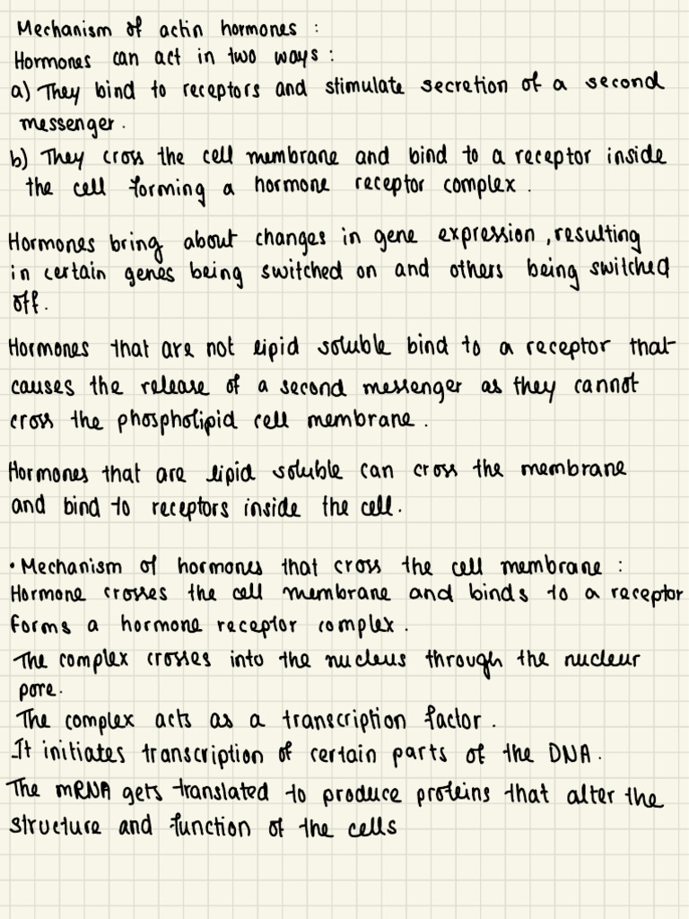 7C Respiration, Muscles and Internal Environment | PDF | Chemical ...