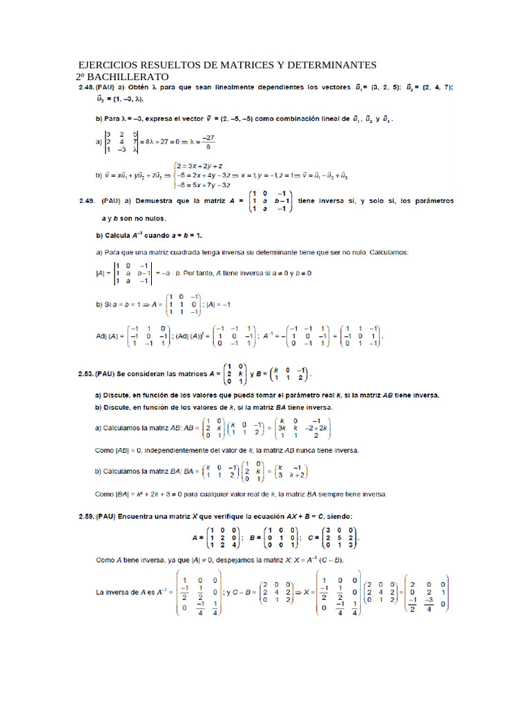 Ejercicios Resueltos de Matrices 2º Bach | PDF
