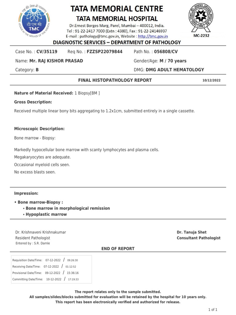 Bone Marrow HISTOPATHOLOGY Report | PDF