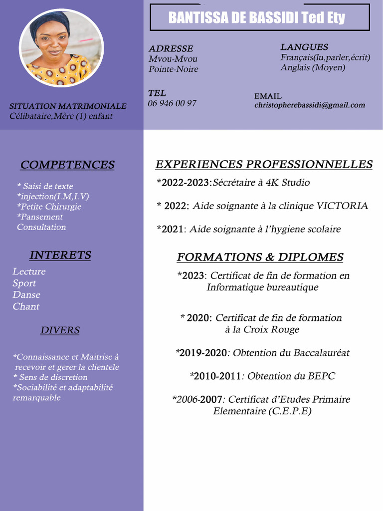 CV PRO-ted Copie 2 | PDF