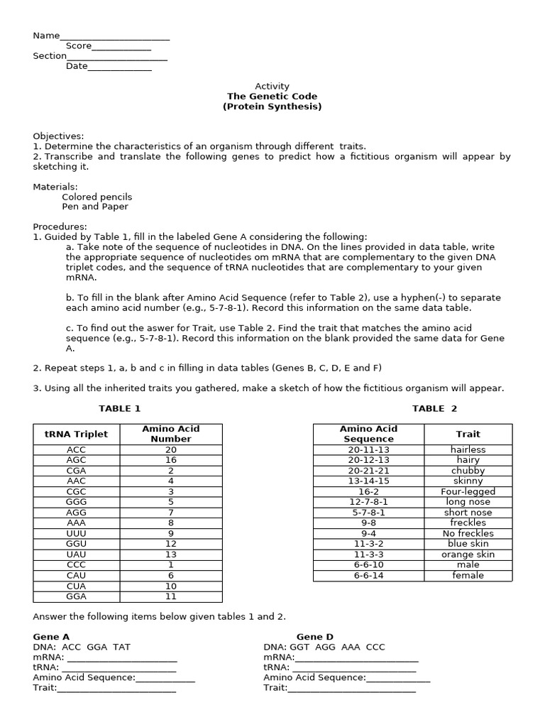 Activity Genetic 20code Pdf Nucleic Acid Sequence Gene
