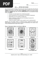 Lab Manual - Mitosis in An Onion Root Cell | PDF