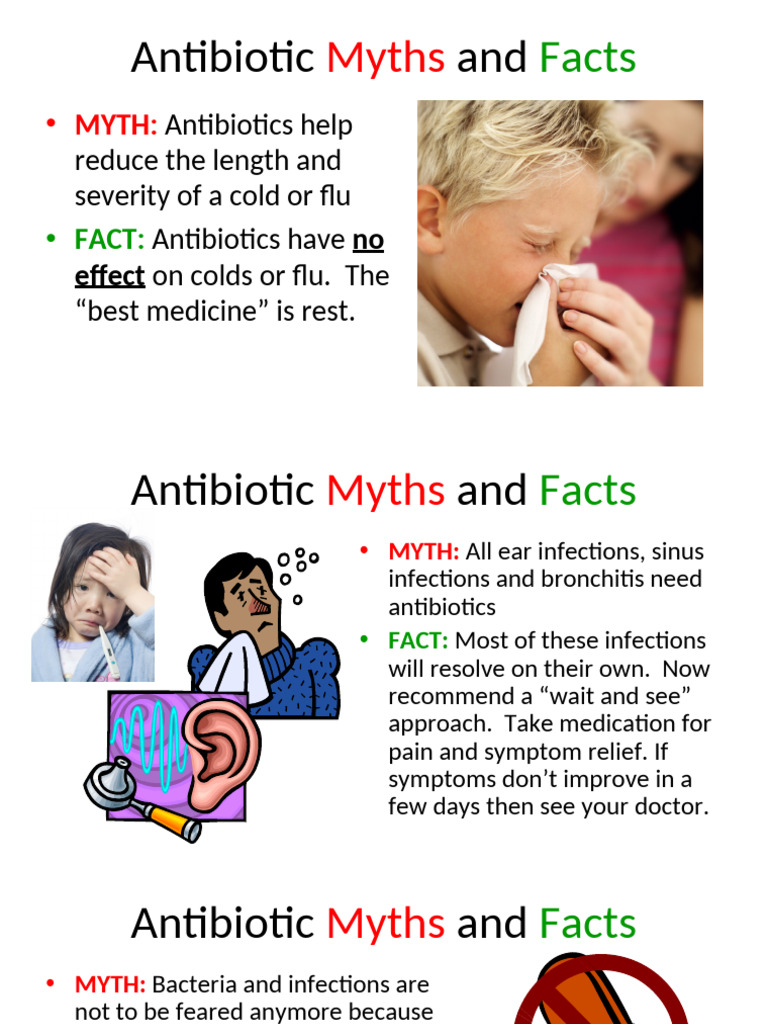Antibiotic Myths and Facts | PDF