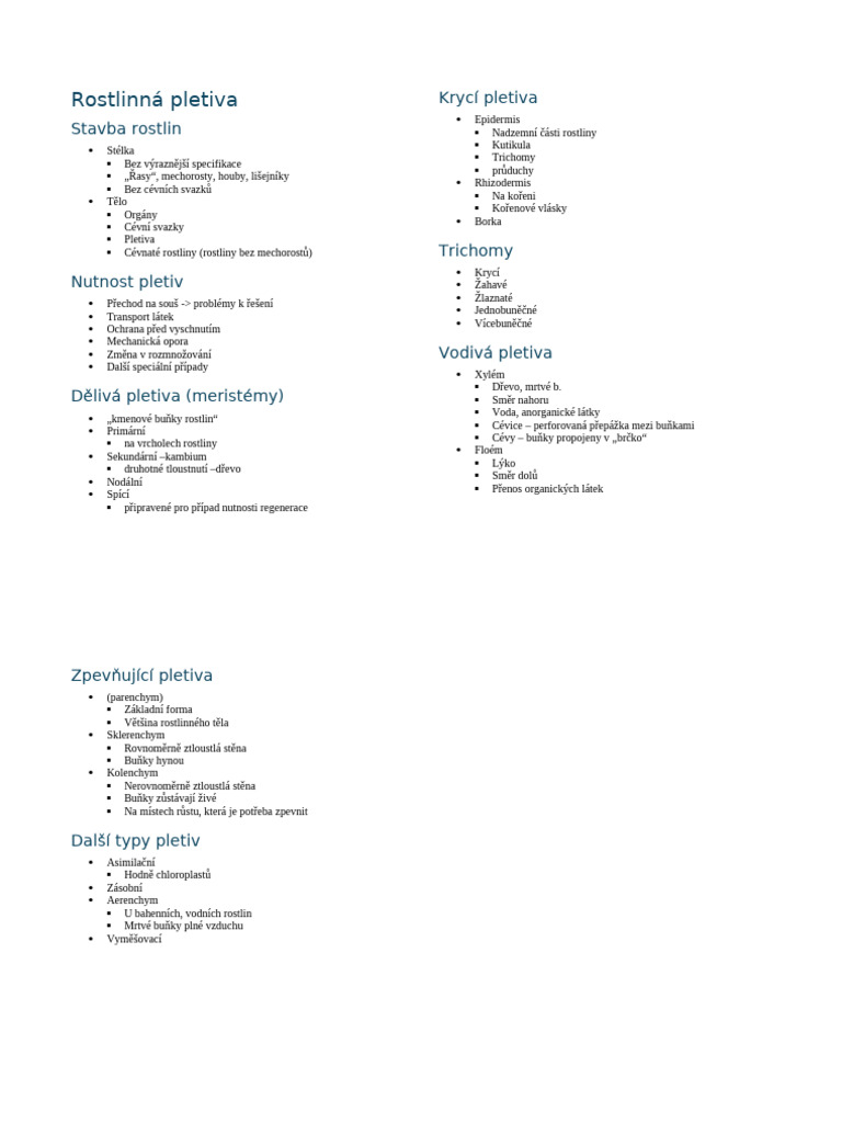 Rostlinná Pletiva, Kořen, Stonek, List | PDF