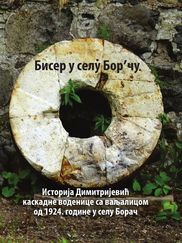 SRB | PDF