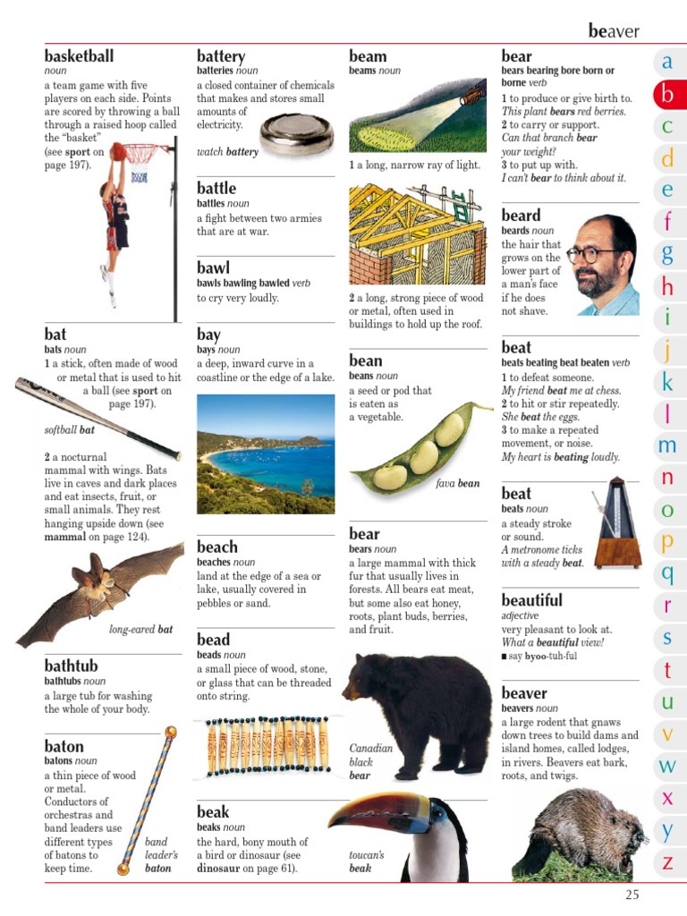 Vocabulary Definitions for Kids | PDF | Beaver