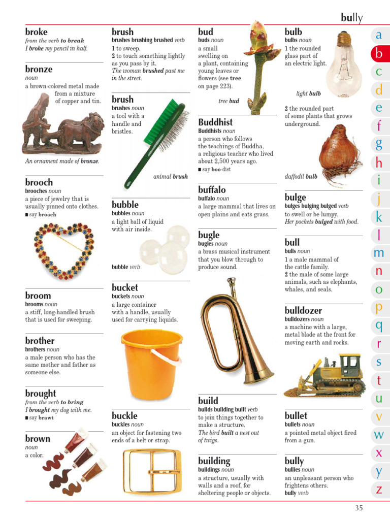 Children's Illustrated Dictionary | PDF