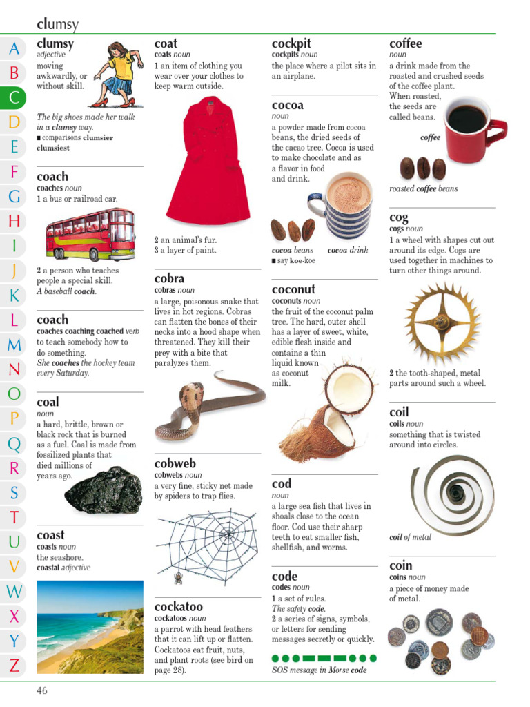 A-Z Glossary of Common Nouns | PDF | Cocoa Bean | Chocolate