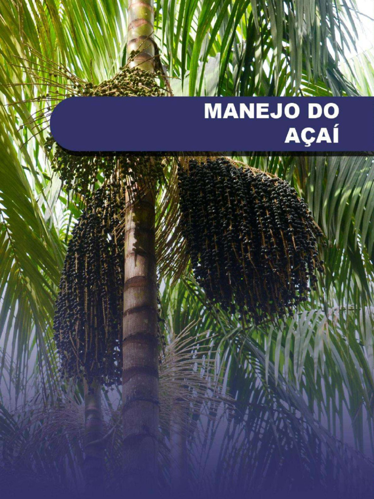 E-Book - Manejo Do Açaí - 2023 | PDF