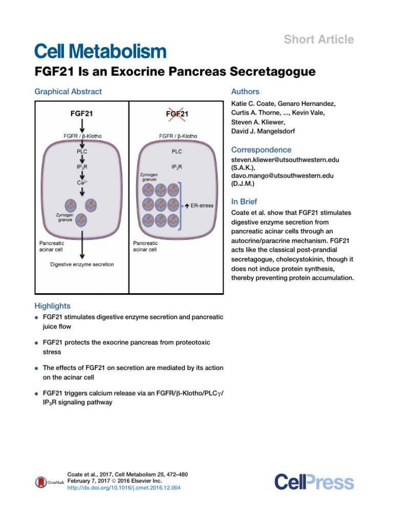 FGF21 Is A Exocrine Pancreas Secretagogue | PDF | Pancreas | Cellular ...