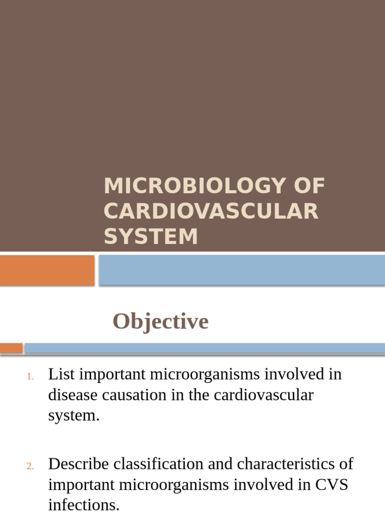 Cardiovascular | PDF | Diseases And Disorders | Microbiology