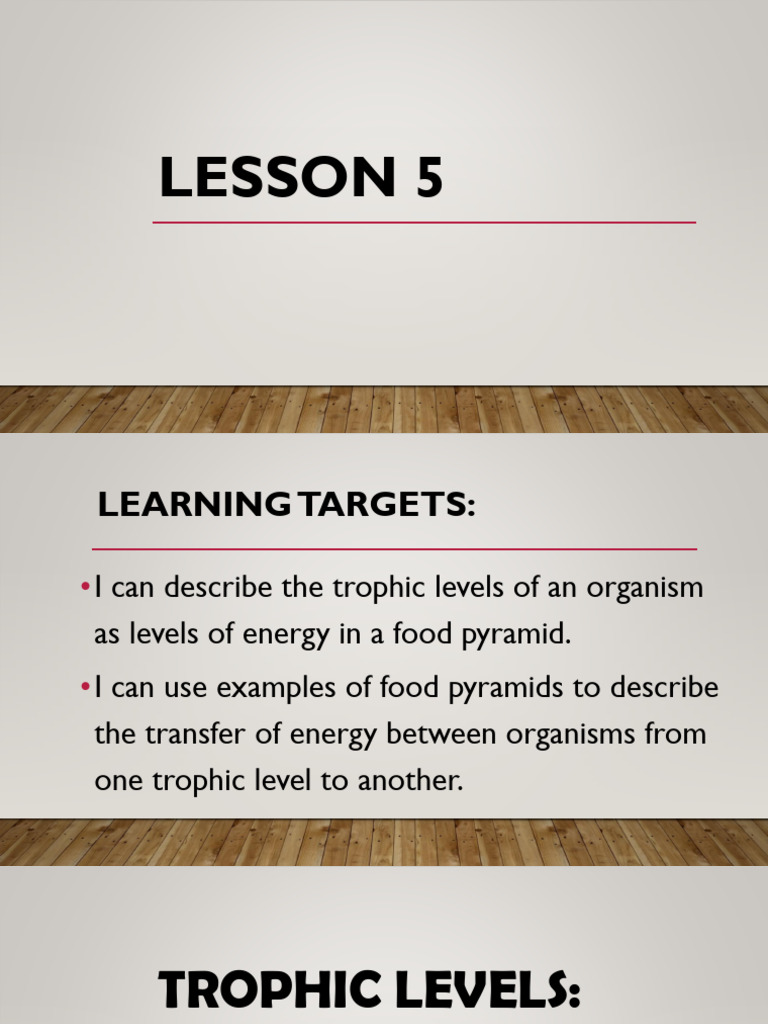 2Q Week 6 Trophic Levels Energy Transfer | PDF