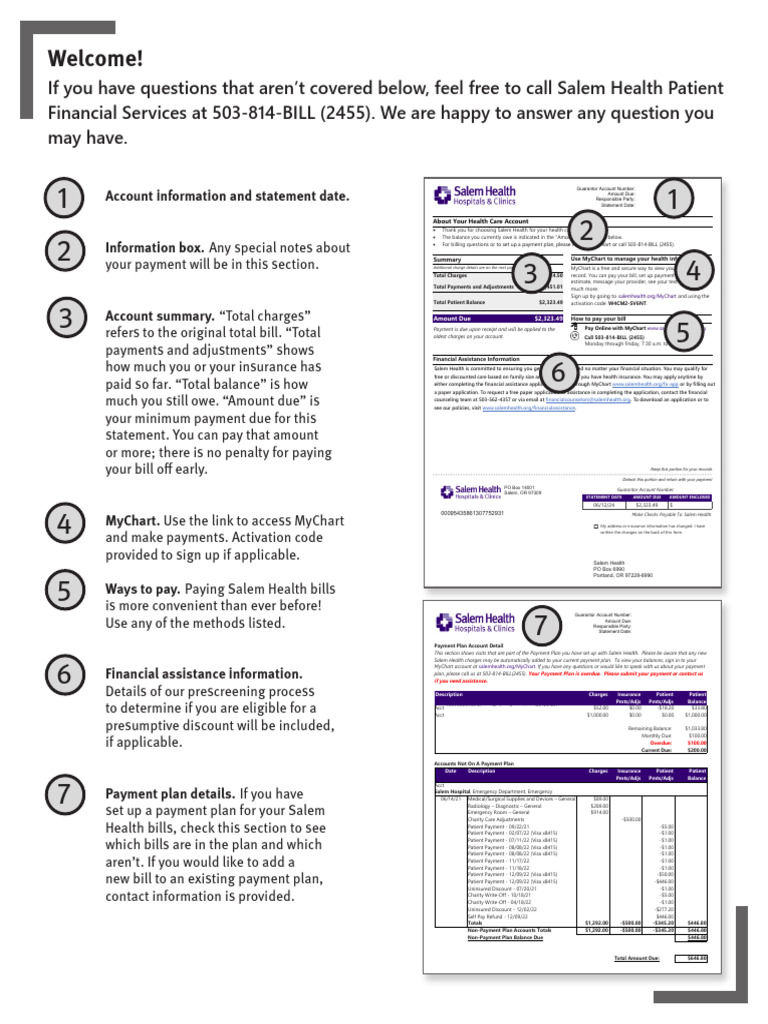 Statement-Insert SH | PDF | Patient | Emergency Department