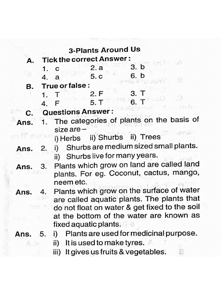 Chapter-3 questions and answers - Page 1 | PDF