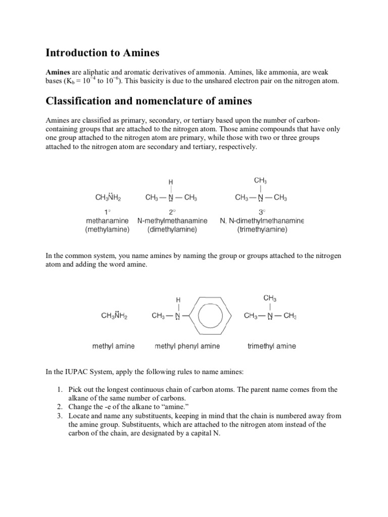 Introduction To Amines Pdf