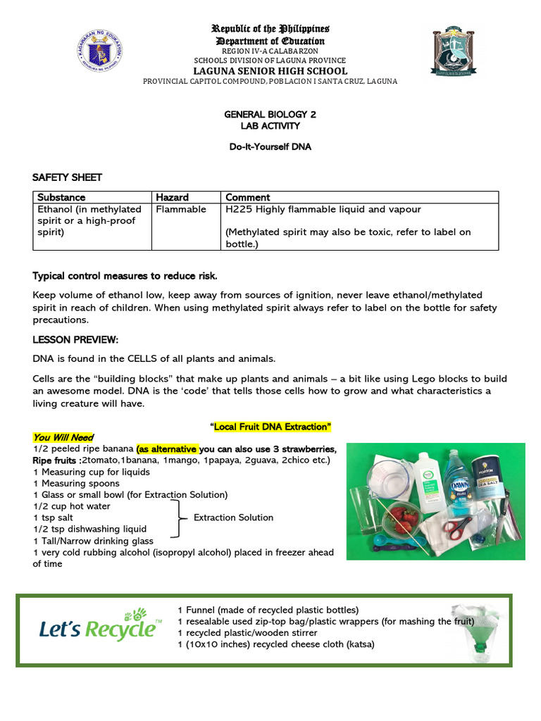 Lab Activity Local Fruit Dna Extraction | PDF | Dna | Ethanol