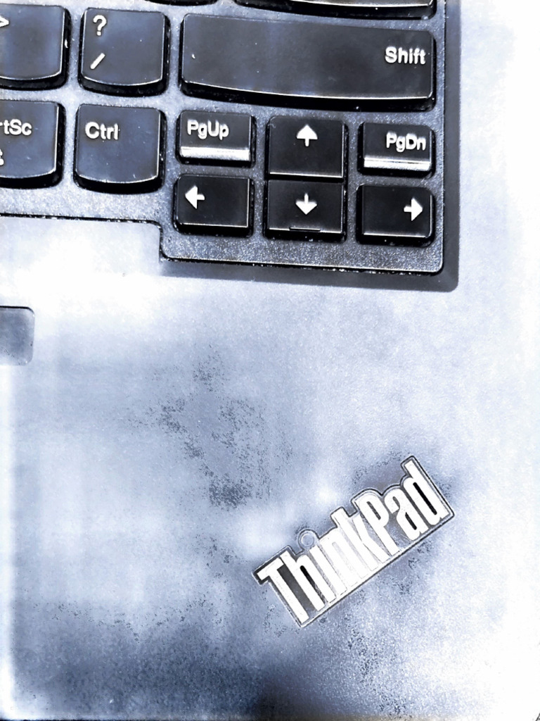 Thinkpad | PDF