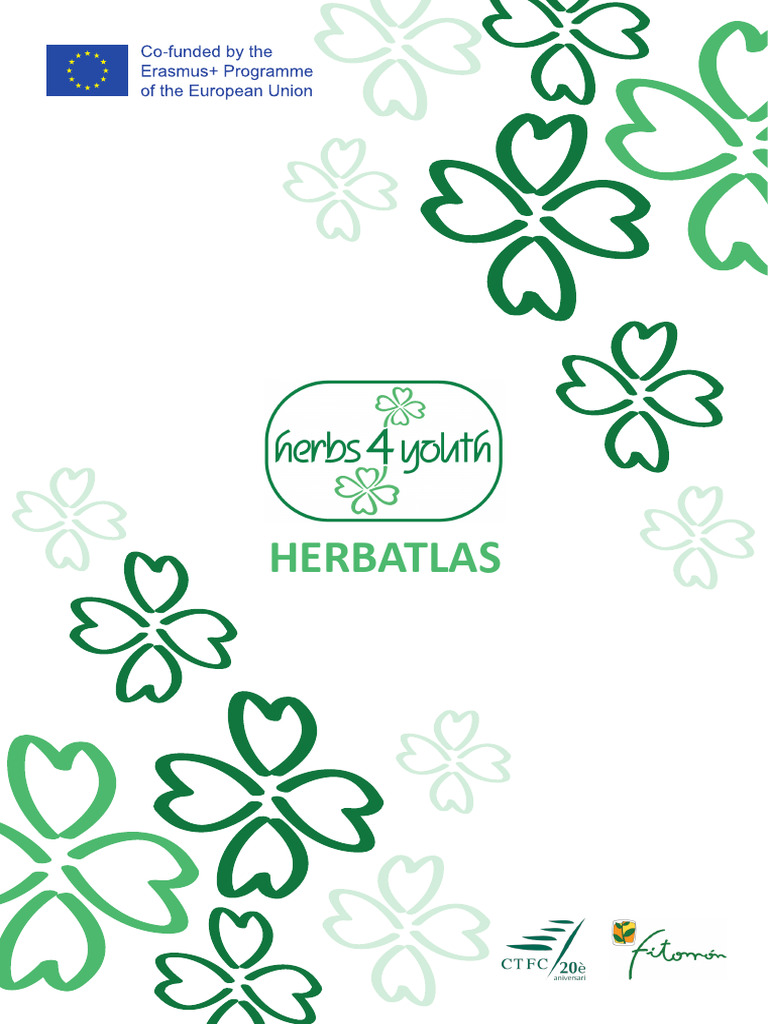 Medicinal Plants of Central America | PDF | Basil | Botany