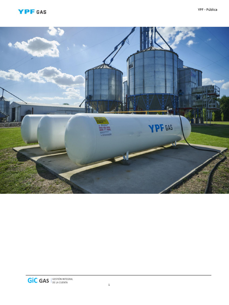 Manual de Usuario GIC YPF | PDF | Transferencia bancaria | Software