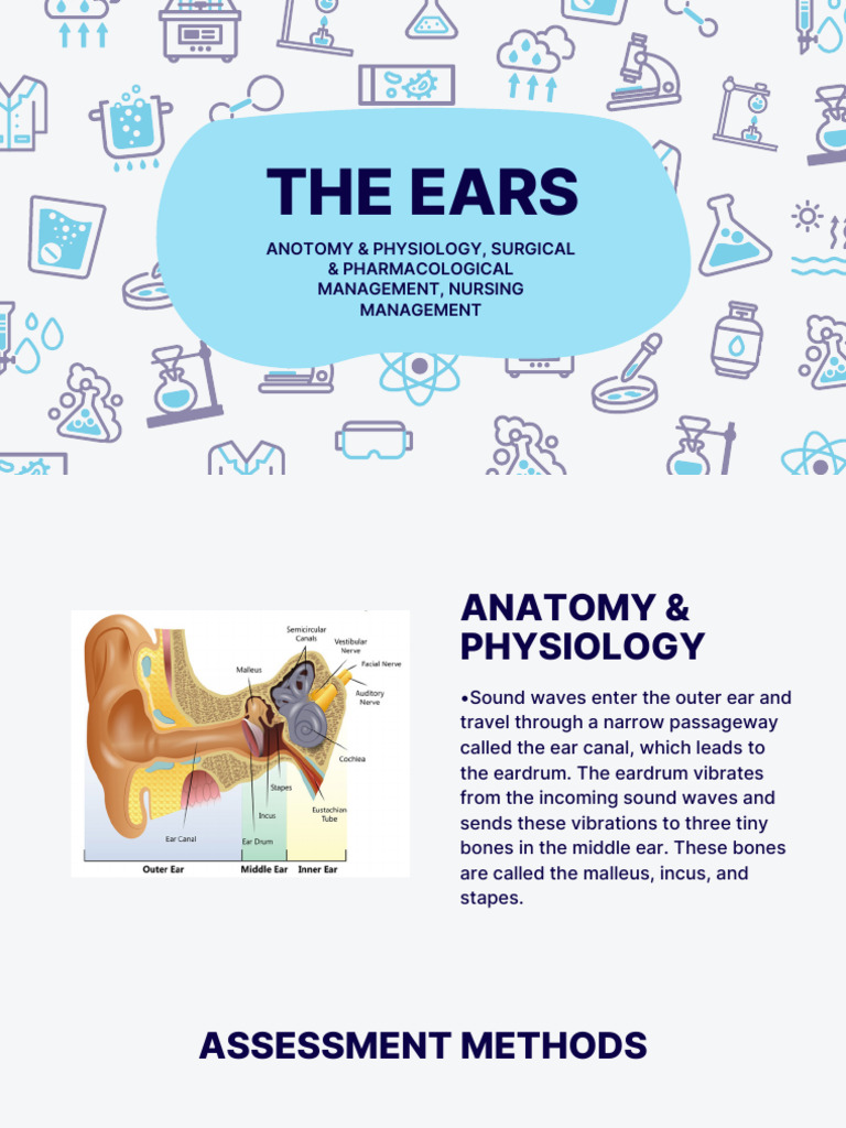 Ears | PDF | Ear | Hearing
