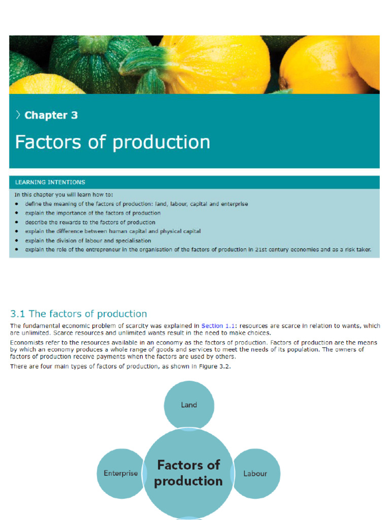CHAPTER 3 Factors of Production | PDF