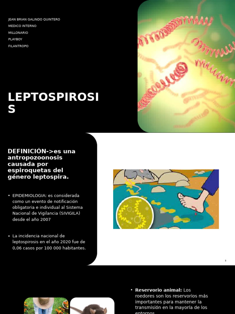 Presentacion Leptospirosis | PDF