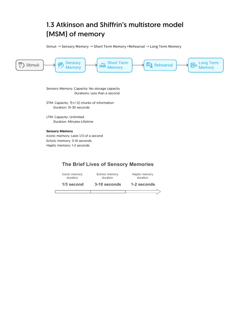 1.3 Atkinson and Shiffrin's Multistore Model (MSM) of Memory | PDF