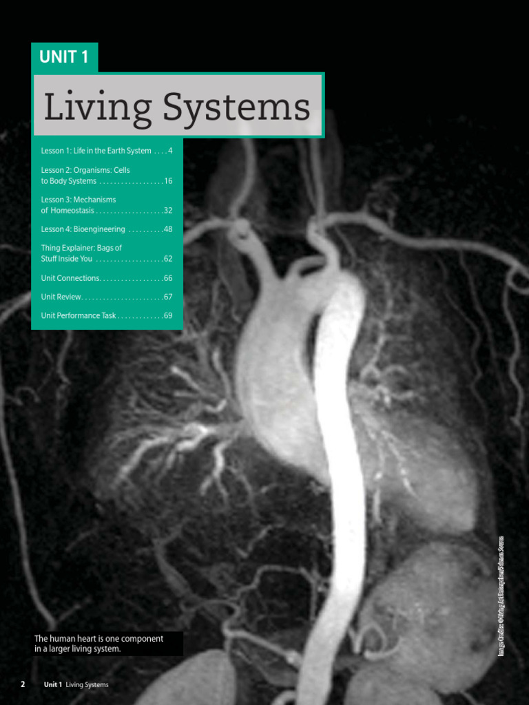 Understanding Living Systems and Interactions | PDF | Conceptual Model ...