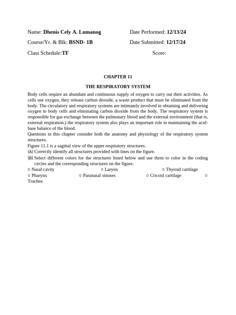 Lab Chapter 11 Respiratory System | PDF | Respiratory Tract | Larynx