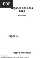 Anatomie du Corps Géniculé Latéral | PDF | Système visuel | Vision