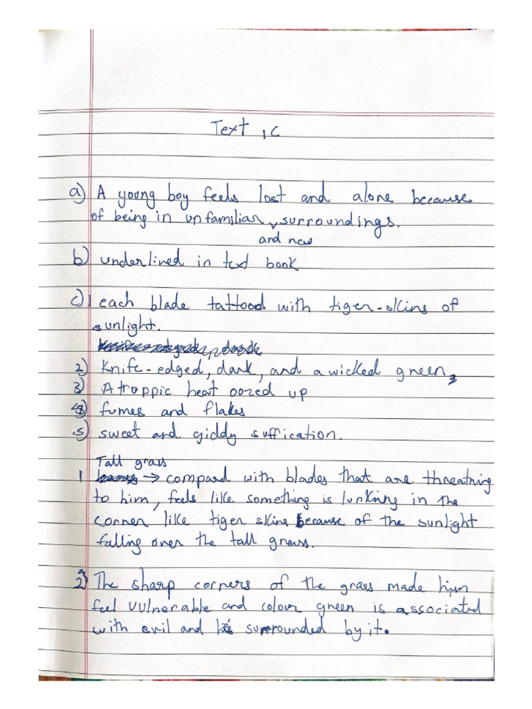 1C_Ques 12_Maya6C | PDF