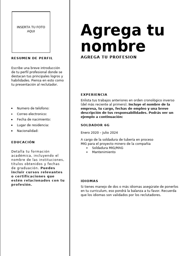 Modelo de CV Final 1 | PDF