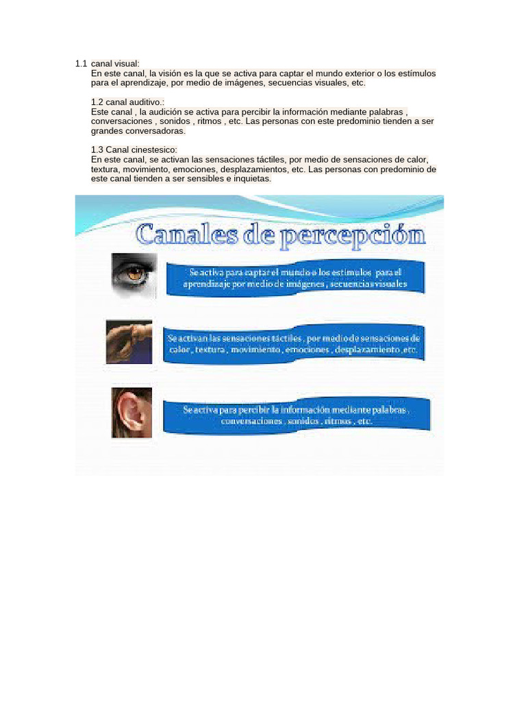Canal Visual | PDF