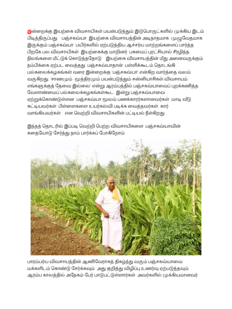 Panjakavya | PDF