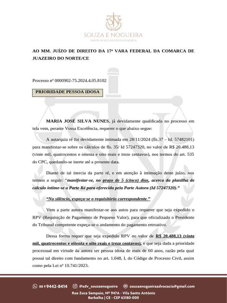 RPV Modelo de Pedido | PDF