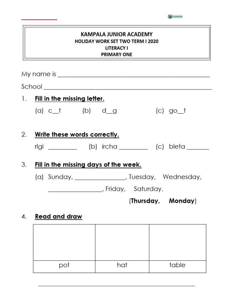 Primary One Literacy Exam Practice | PDF