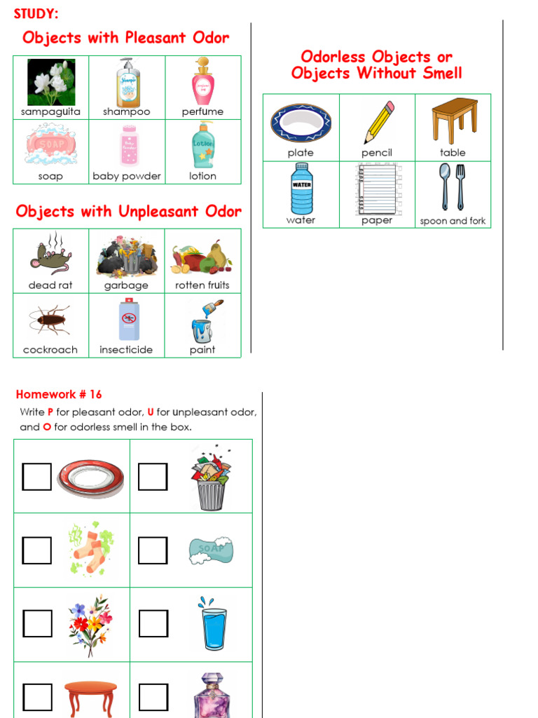 WEEK 24 Homework in Science | PDF