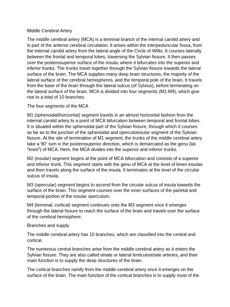 anaphy | PDF | Heart | Atrium (Heart)