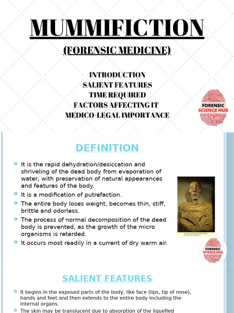 Mummification | PDF