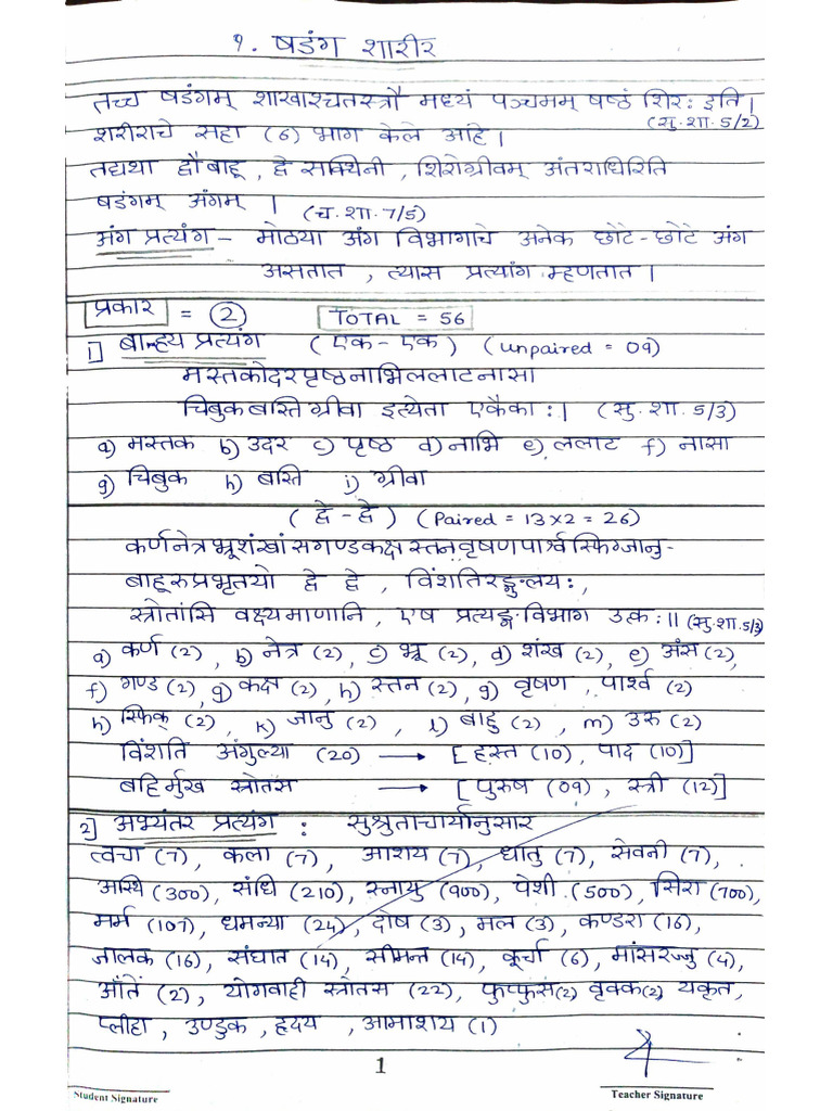 Anatomy Practical | PDF