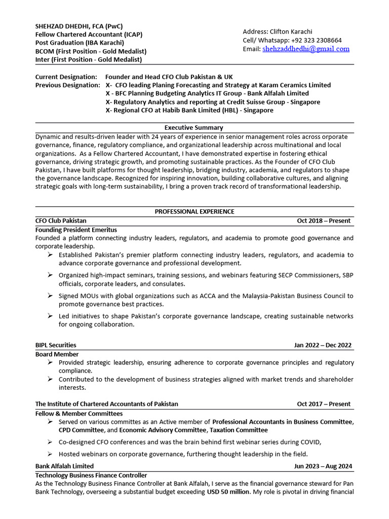 Shehzad Dhedhi: CFO Leadership Profile | PDF | Chief Financial Officer ...