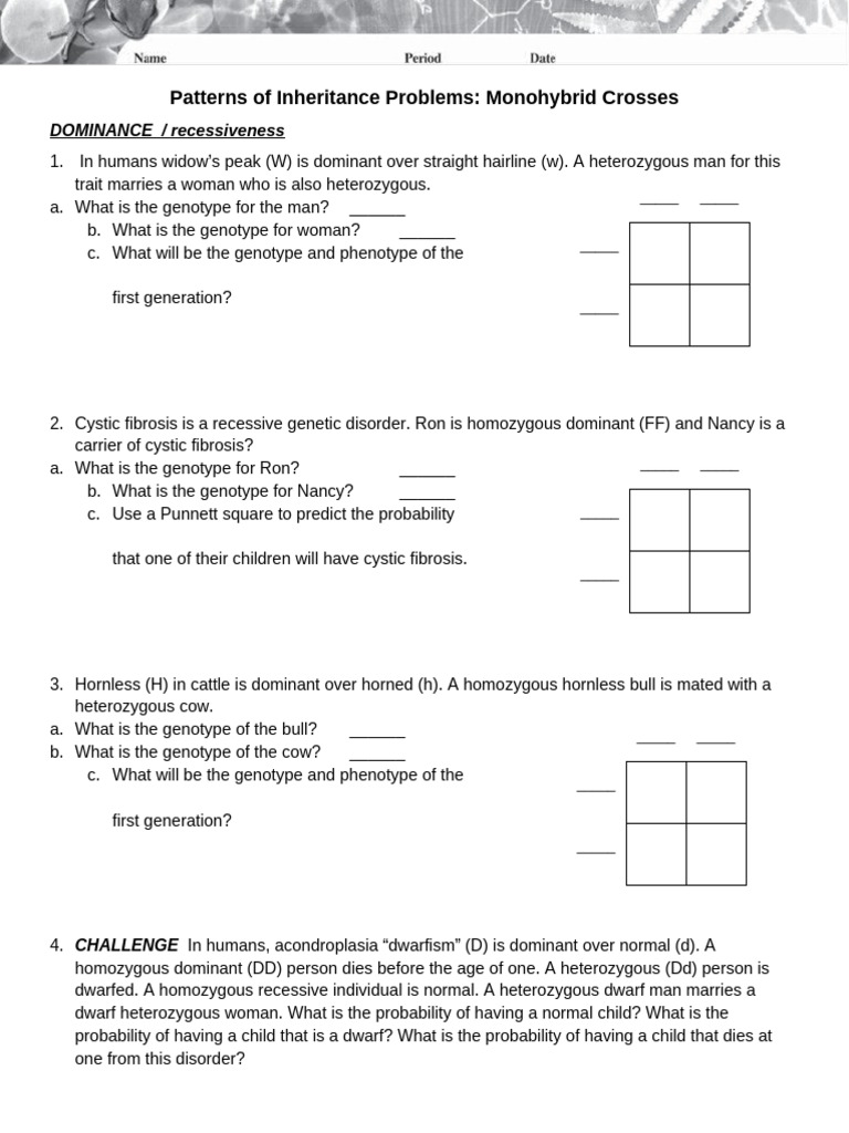 Patterns of Inheritance Problems | PDF | Dominance (Genetics) | Genotype