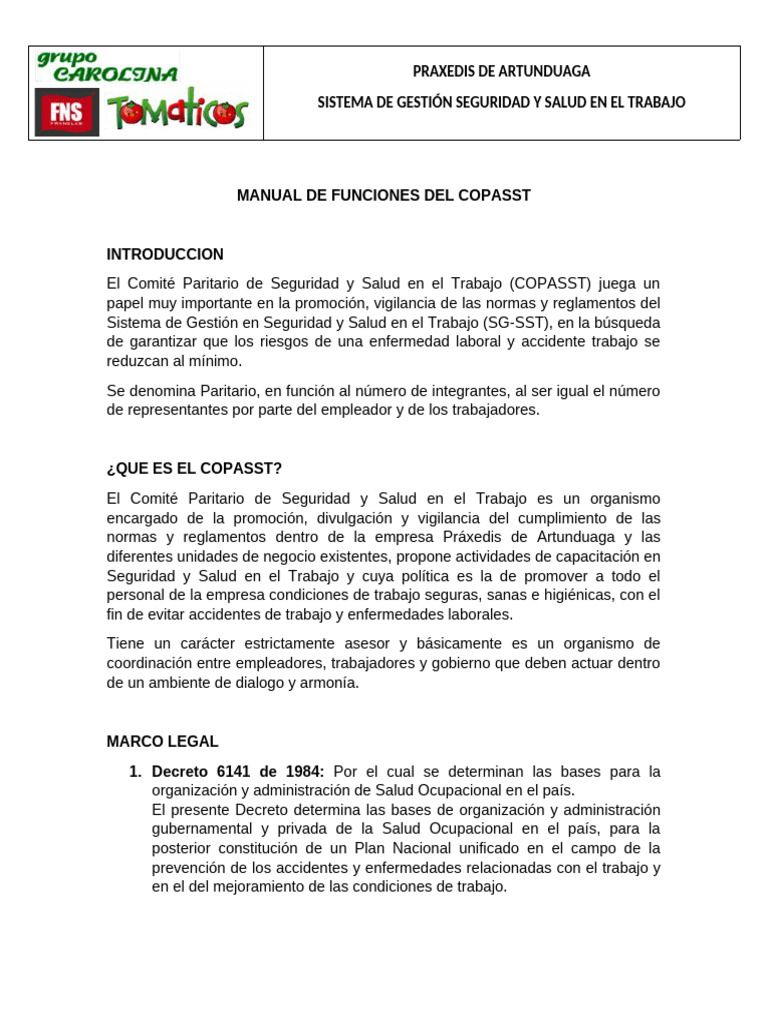 Manual de Funciones Del Copasst | PDF | Seguridad y salud ocupacional | Derecho laboral