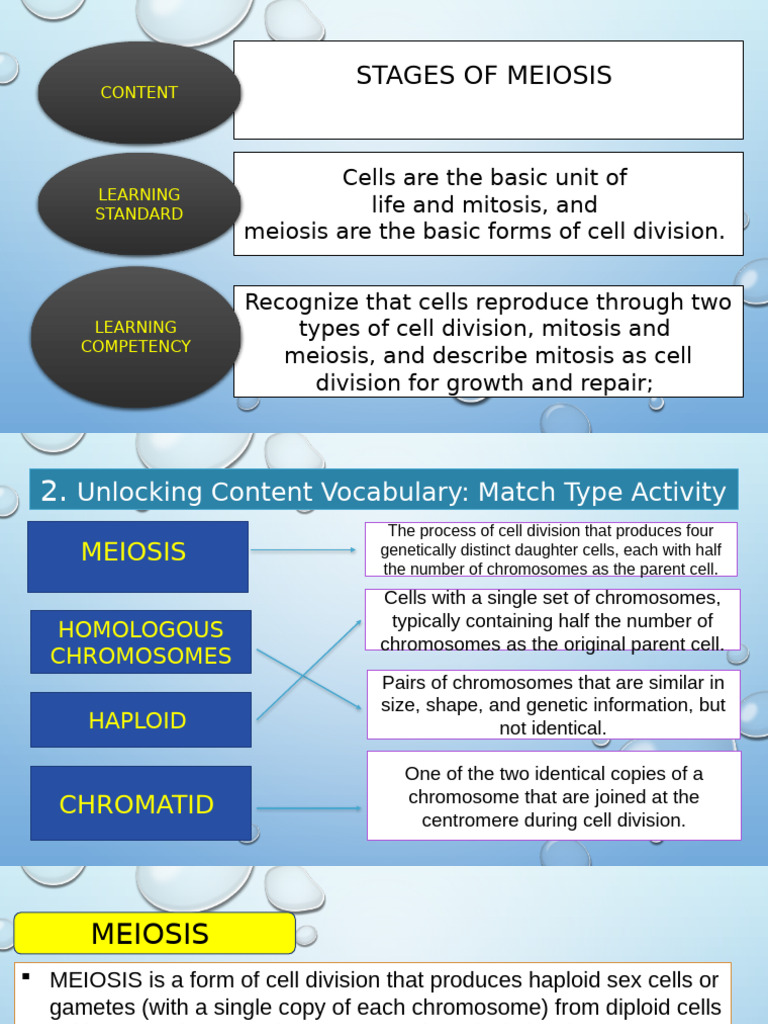 Meiosis Gametes Formation Sexual Reproduction 2 Pdf Meiosis
