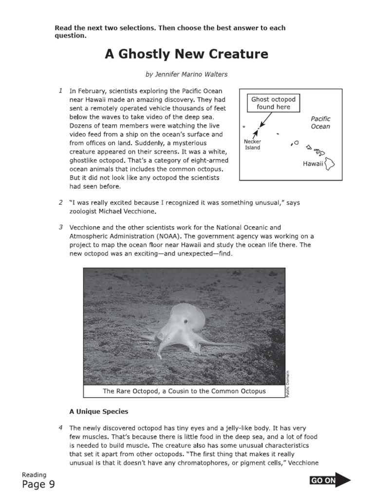 A Ghostly New Creature | PDF