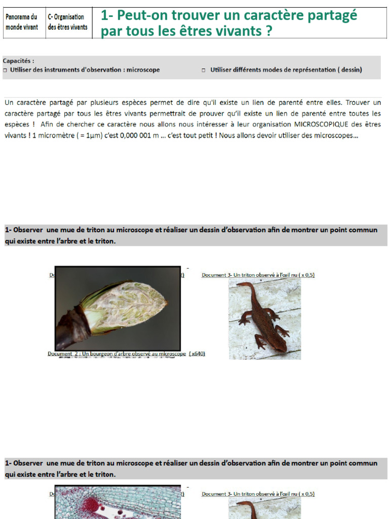 Caractéristiques cellulaires des êtres vivants | PDF