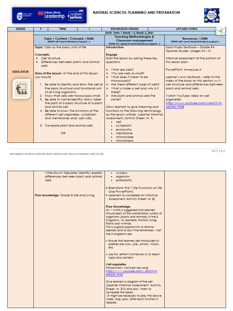 Grade 9 Lesson Plan: Cell Basics | PDF | Cell (Biology) | Organelle