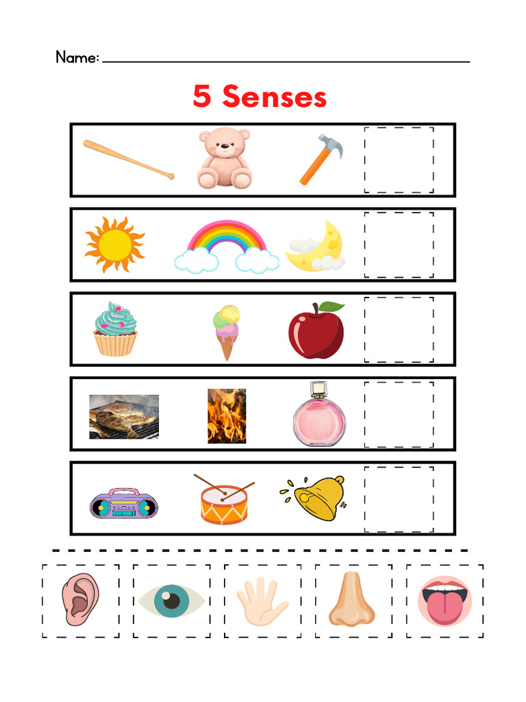 Colorful Illustrative Five Senses Science Worksheet | PDF