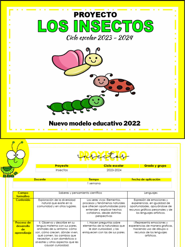 Proyecto INSECTOS | PDF | Aprendizaje | Educación de la primera infancia