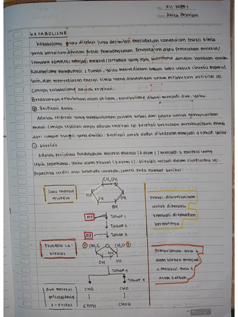 Anisa Pebrian XII MIPA 1 Biologi 3 KATABOLISME | PDF